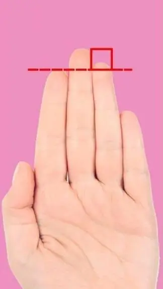 شخصیت شناسی از روی انگشتان دست طول انگشت شما چه رازهایی را بر ملا میکند؟